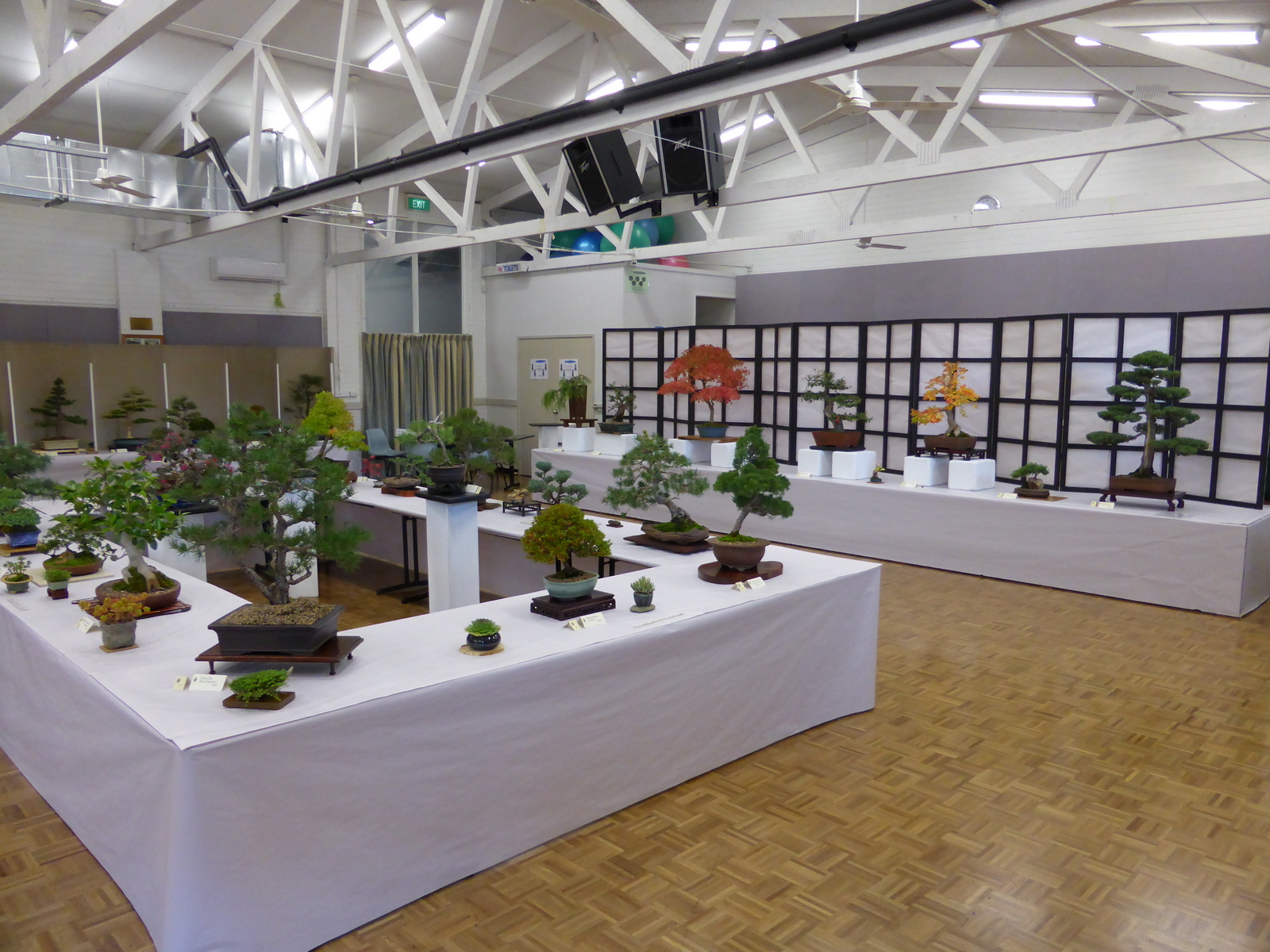 WCCC Hall - Weston Creek Community Centre